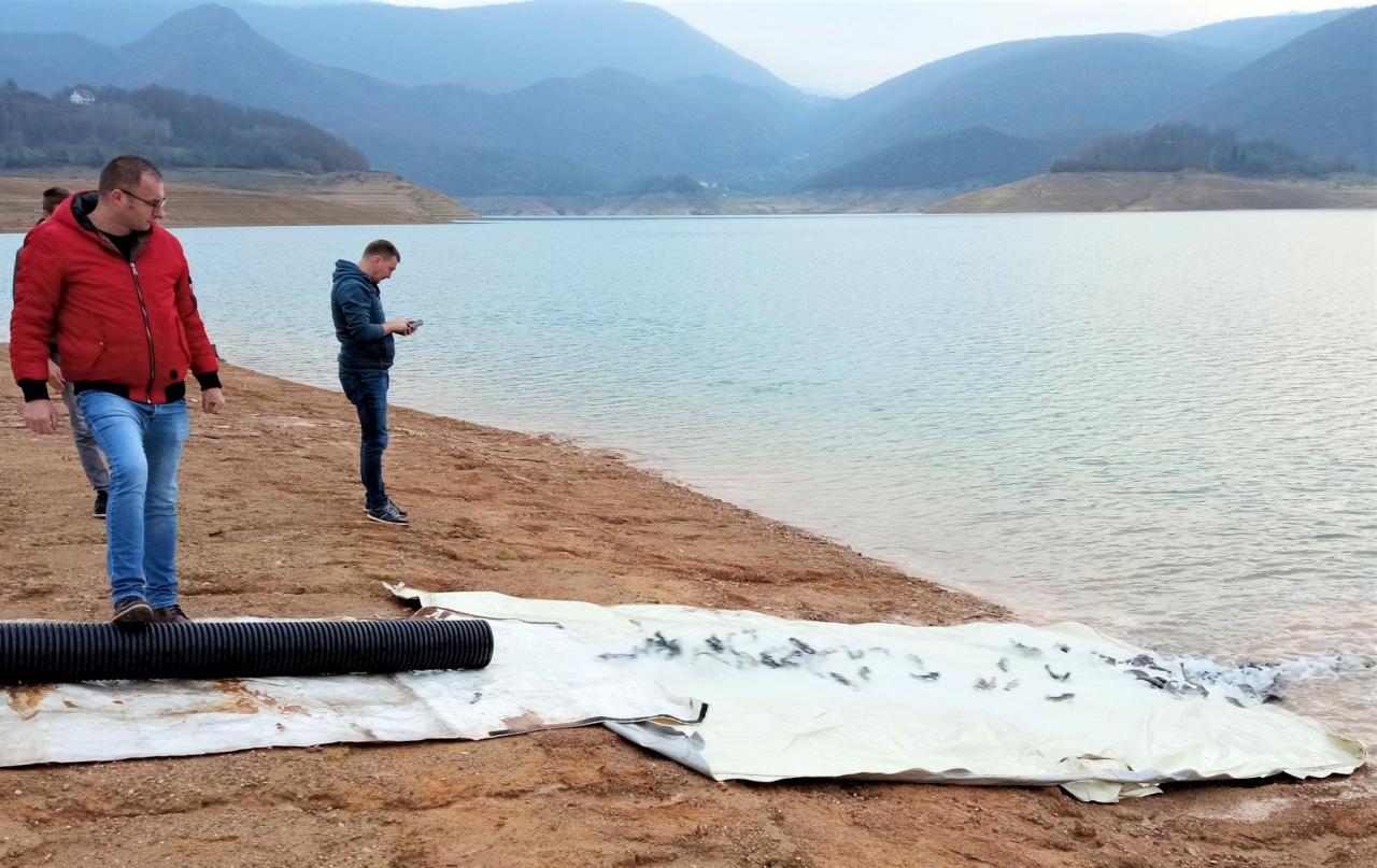 Rezime poribljavanja ribolovne zone Prozor-Rama - RADIO RAMA